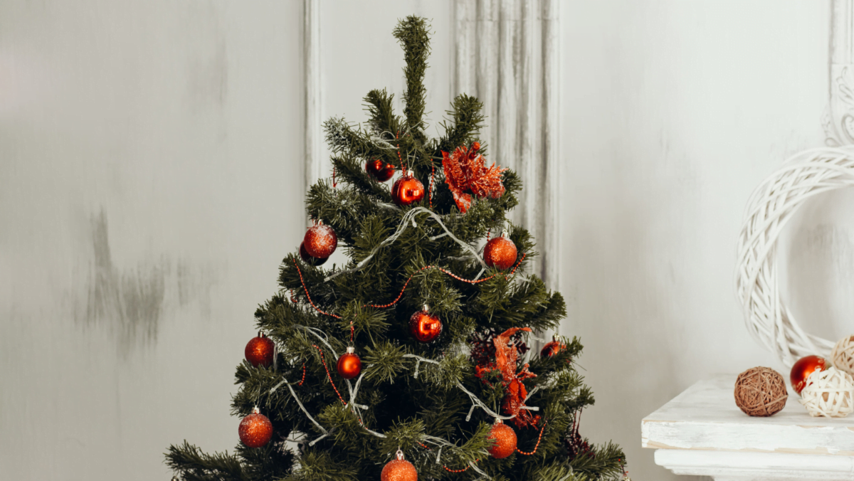 Easy Ways You Can Celebrate Sustainably This Holiday Season - Her ...